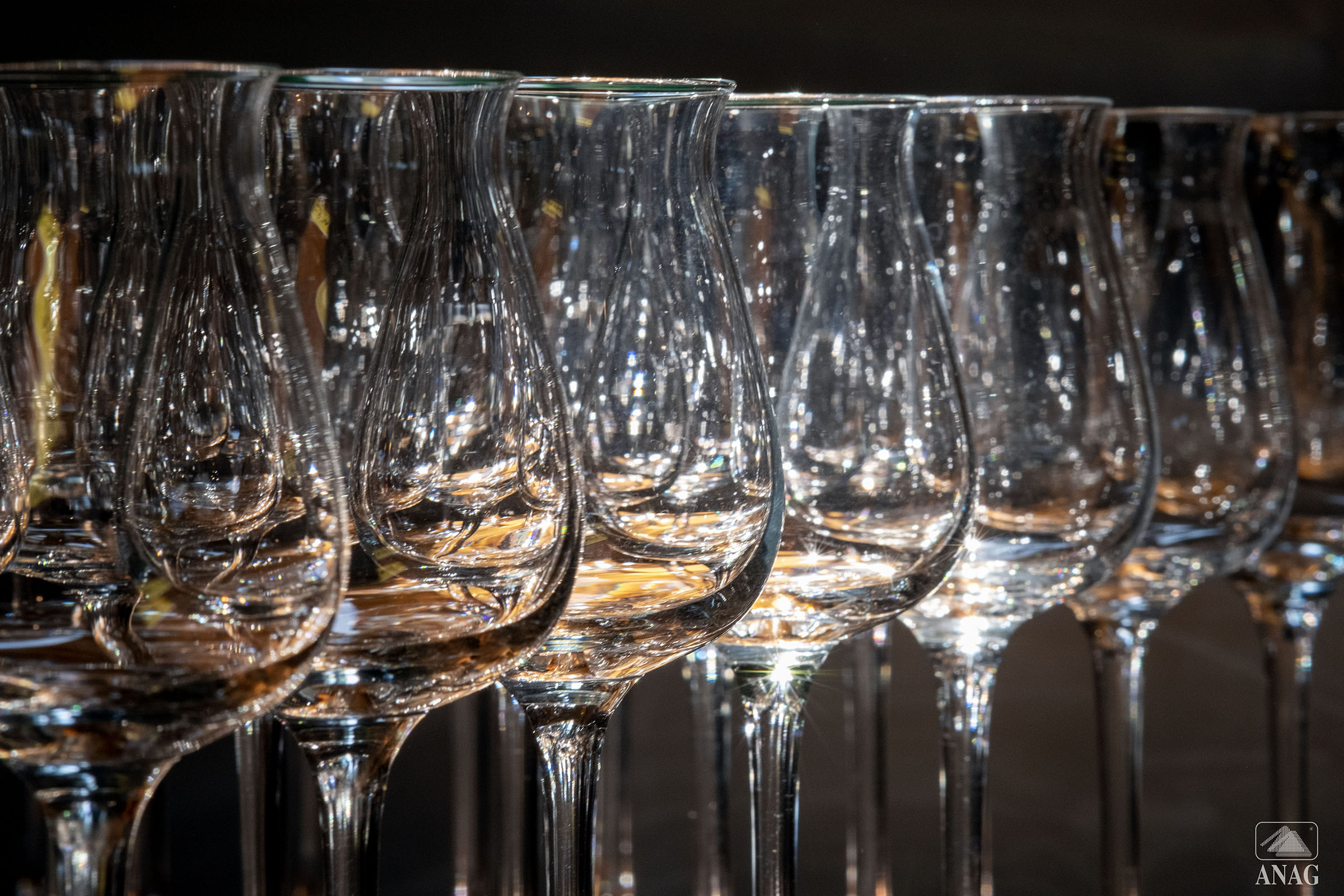 Nuove prospettive di crescita per ANAG - Anag