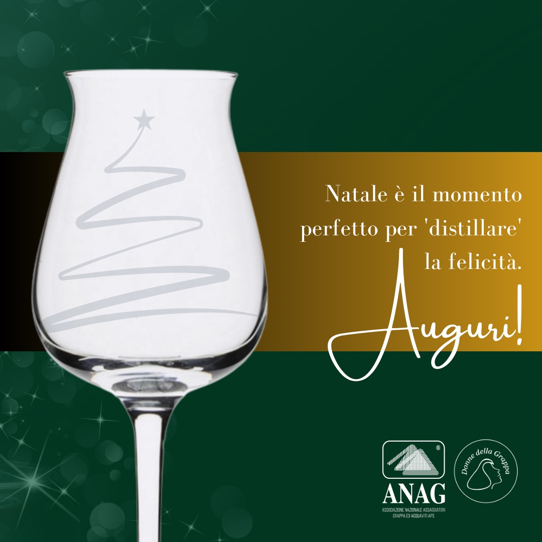 Buone Feste da ANAG - Anag